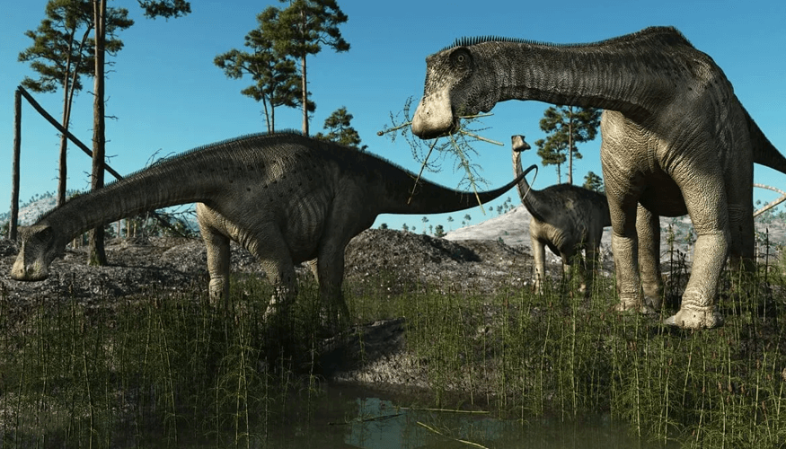 Fun Facts About Nigersaurus: The Dinosaur with 500 Teeth-Dinosaur ...