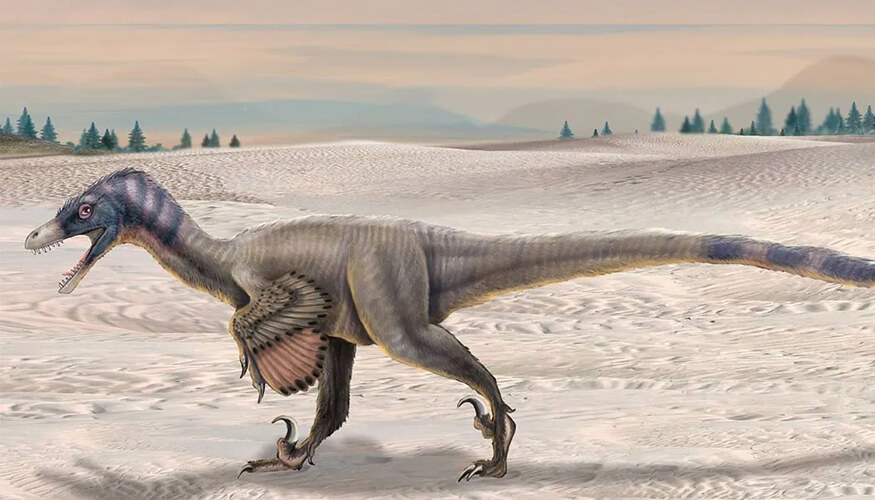 How Fast Can a Velociraptor Run-Dinosaur Knowledge-Dinosaur Park ...