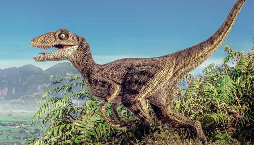 How Fast Can a Velociraptor Run-Dinosaur Knowledge-Dinosaur Park ...
