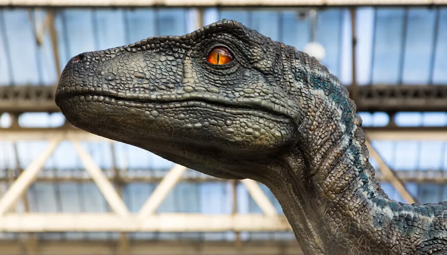 How Fast Can a Velociraptor Run-Dinosaur Knowledge-Dinosaur Park ...