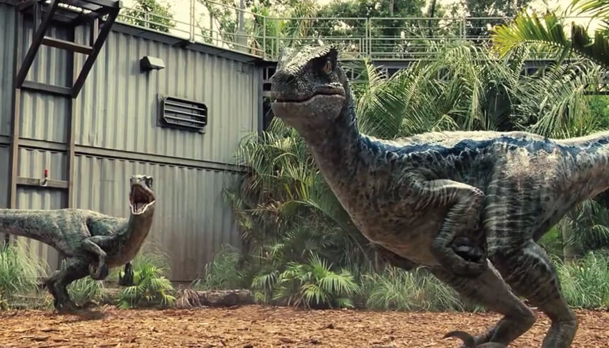 How Fast Can a Velociraptor Run-Dinosaur Knowledge-Dinosaur Park ...