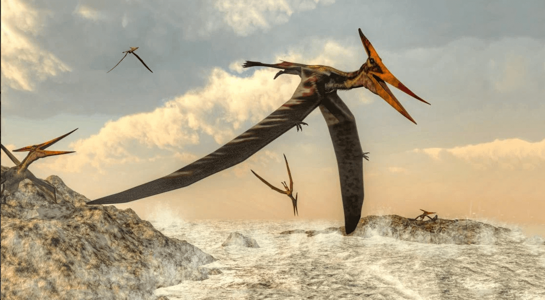 Pteranodon vs Pterodactyl: Sky Giants of the Mesozoic Era-Dinosaur Knowledge-Dinosaur Park ...