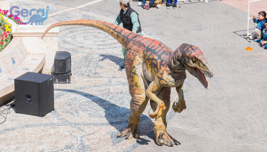 Raptor Hidden Legs Costume-Dinosaur Costume-Zigong GeCai Culture