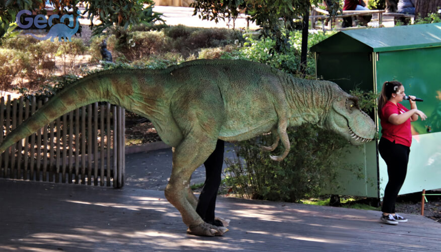 Green T-Rex Costume-Dinosaur Costume-Zigong GeCai Culture