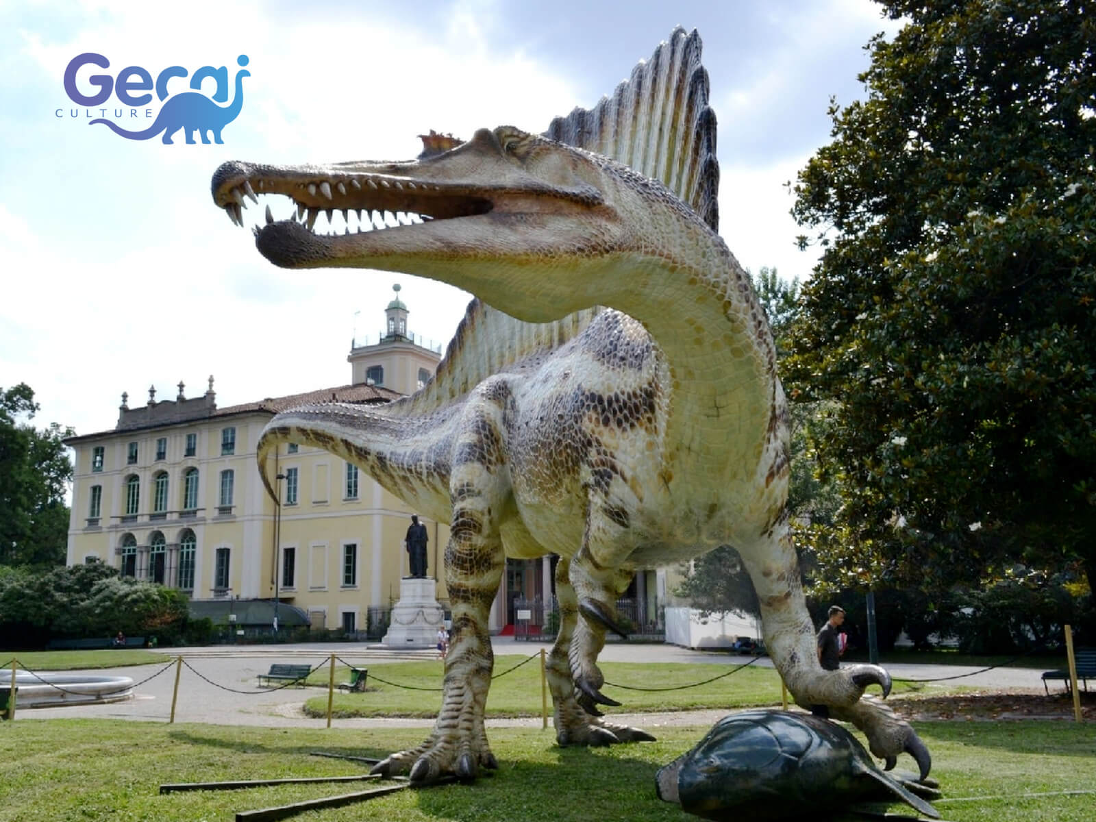Life Size Animatronic Dinosaurs Spinosaurus Statue for Sale-Animatronic ...